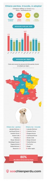 J’ai perdu mon chien, que faire